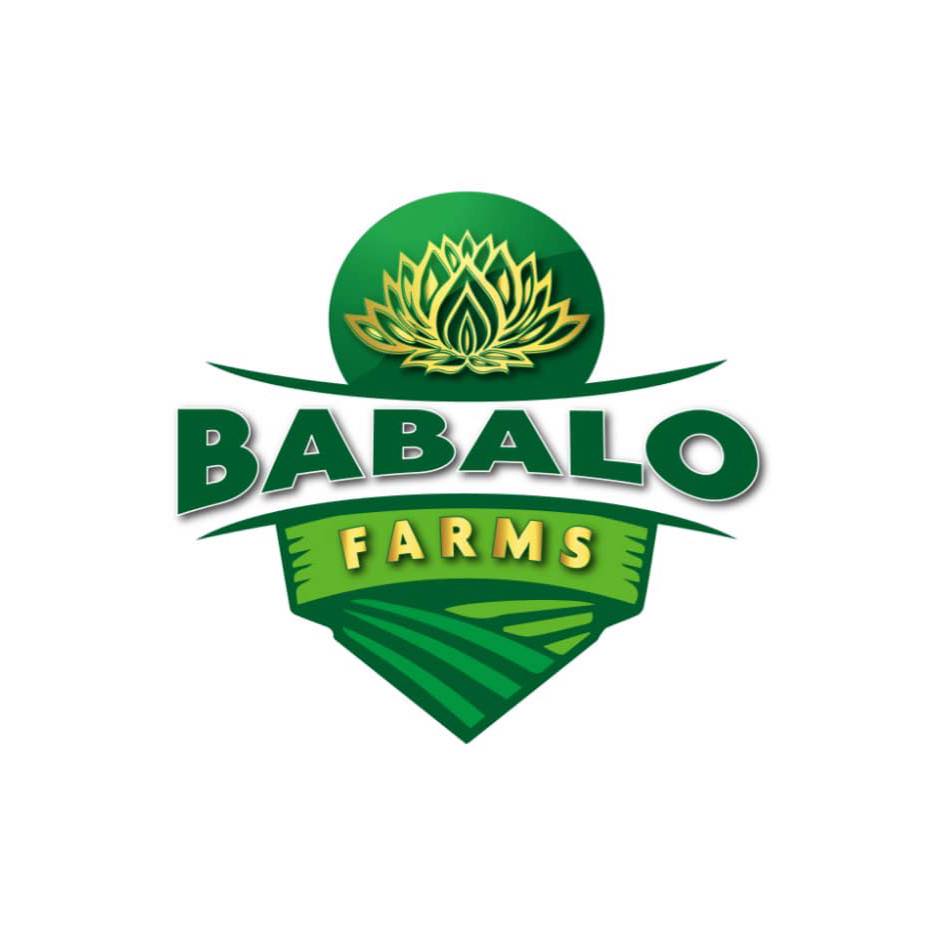 SADC Renewable Energy Entrepreneurship Support Facility | SACREEE Community